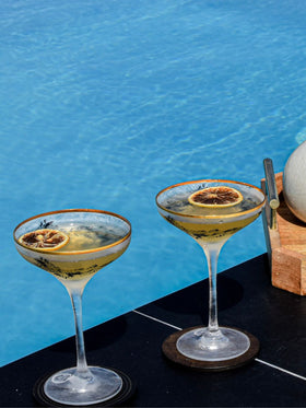 BACARDÍ Merchandise Shop | Bacardi Bar Equipment | Bacardi Glass – CASA ...