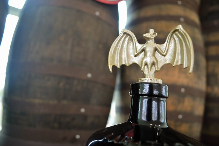 Barware – CASA BACARDÍ